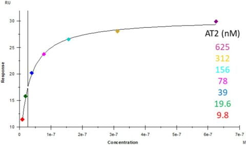 SPR (Biacore) Assay | Gifford Bioscience