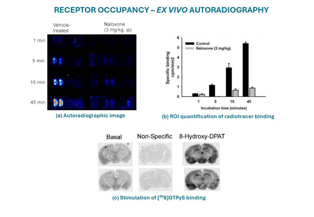 About Ligand Binding Assays Ford Bioscience