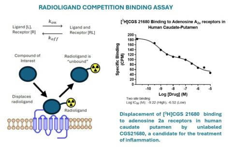 About Ligand Binding Assays - Gifford Bioscience