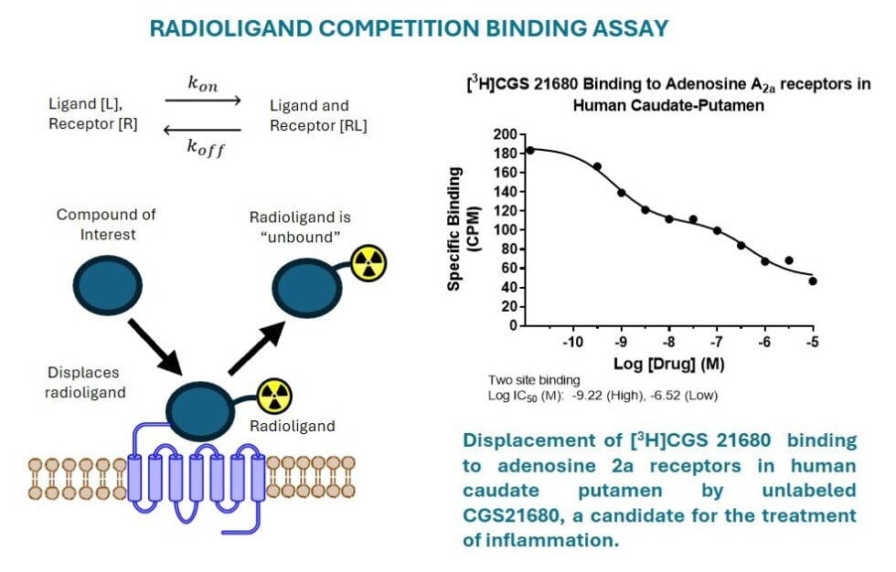 About Ligand Binding Assays - Gifford Bioscience